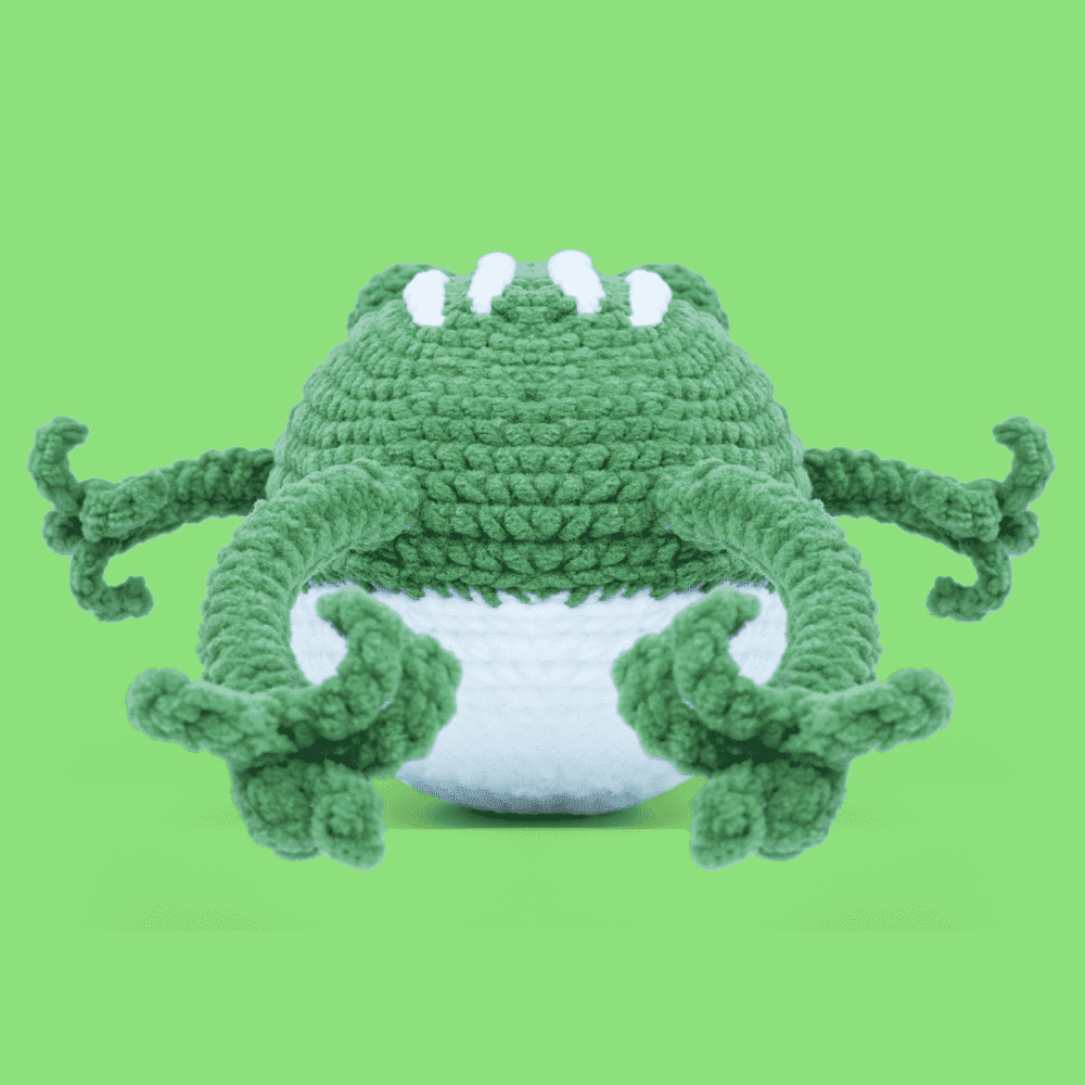 Intermediate Green Frog Wallet Crochet Kit-Silver for Beginner – HiCrochet