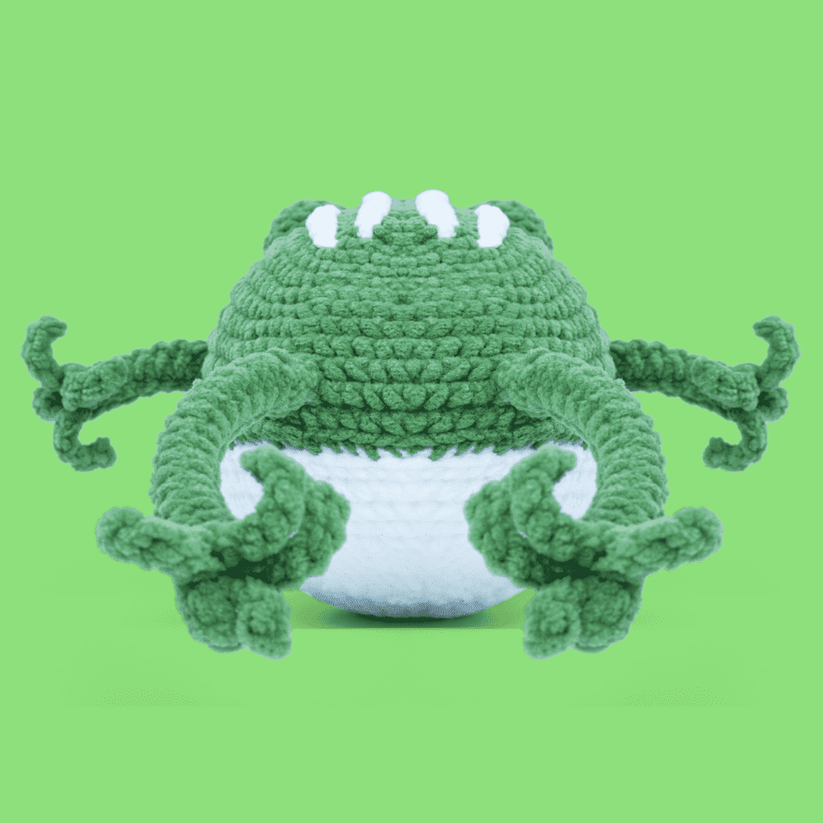 Intermediate Green Frog Wallet Crochet Kit-Silver for Beginner – HiCrochet