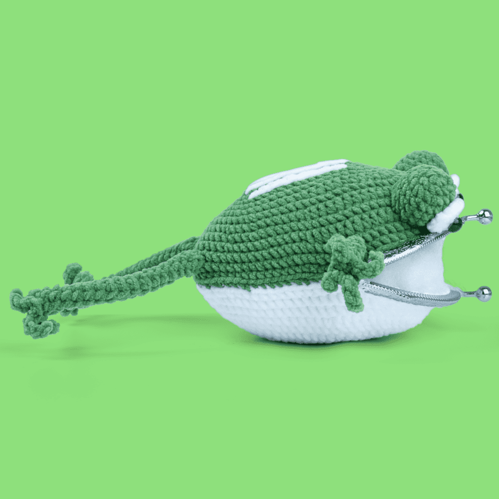 Intermediate Green Frog Wallet Crochet Kit-Silver for Beginner – HiCrochet